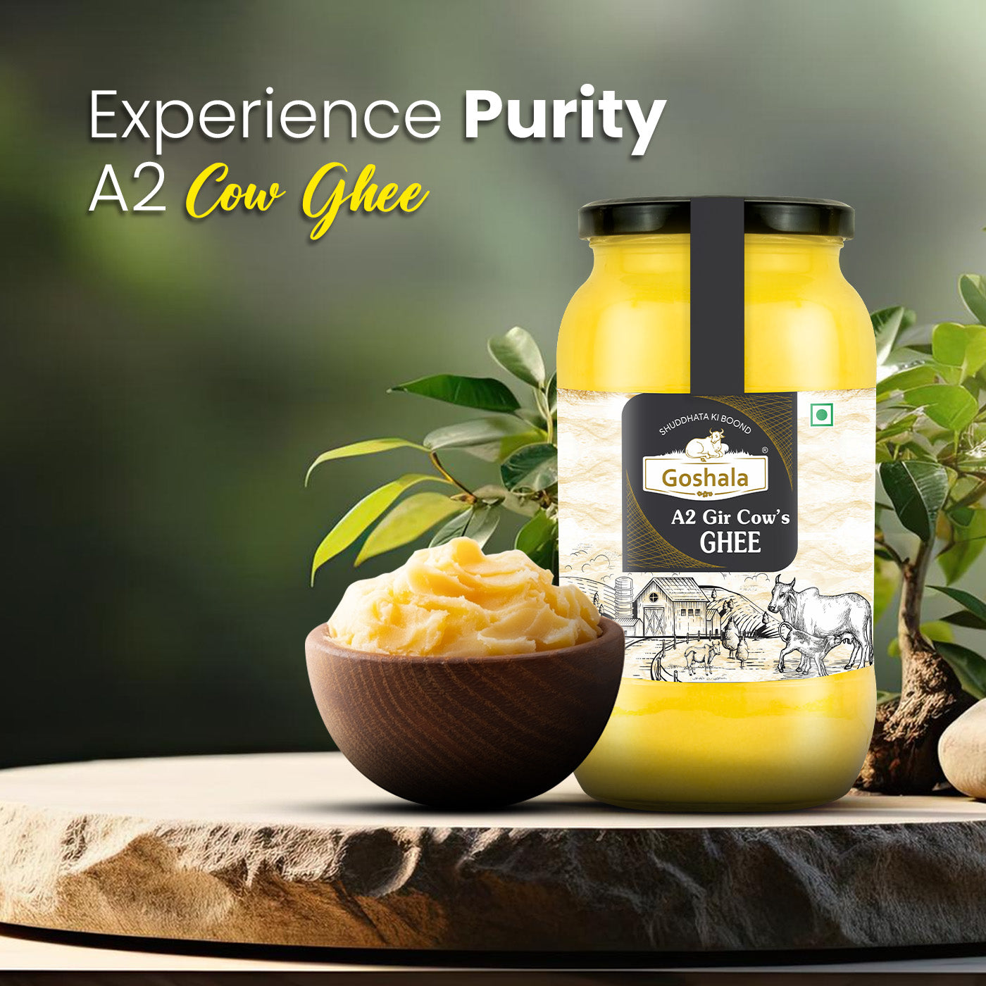 India's leading cow ghee brand – Shree Radhe Dairy Farm & Foods Ltd