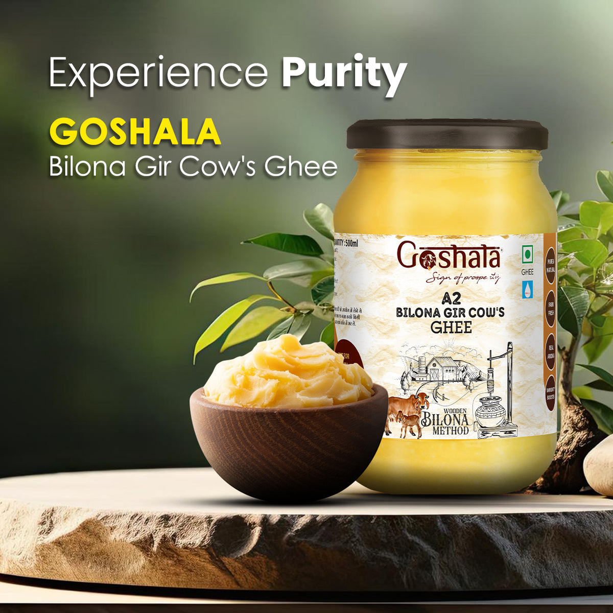 Goshala Bilona Gir Cow Ghee Jar Combo(Pack of 2) – Shree Radhe Dairy ...